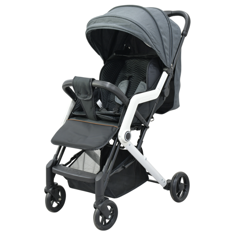 Fiera Stroller - Giant Carrier